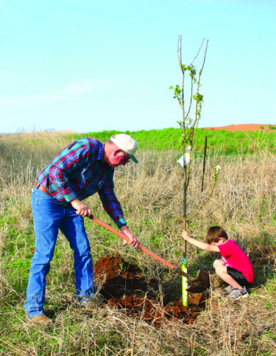 How to Plant a Tree - Grit